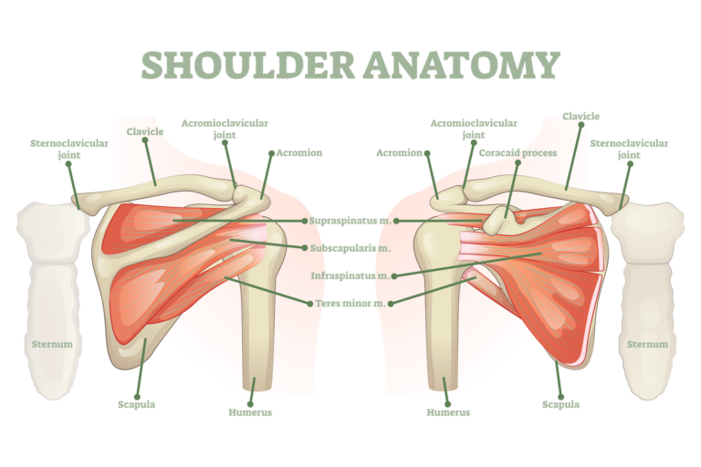 Preventing Shoulder Injuries from Lifting: Essential Tips and ...