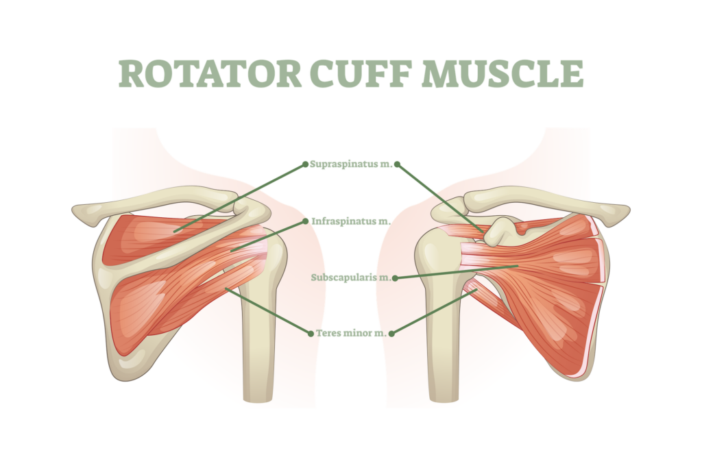 Preventing Shoulder Injuries from Lifting: Essential Tips and Strategies - Dr. Eric Giang