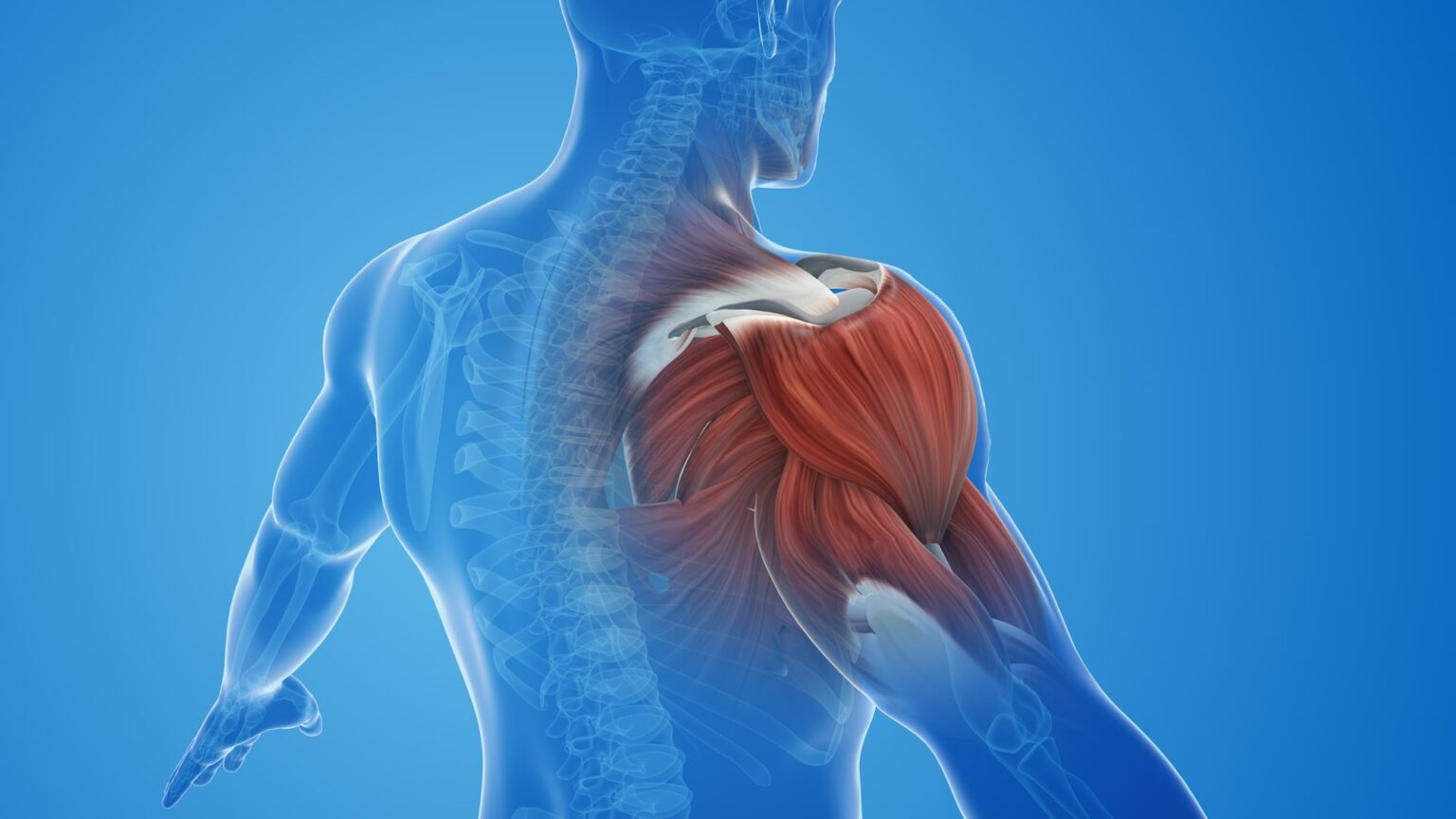 Can a Shoulder Injury Cause Neck Pain? - Dr. Eric Giang